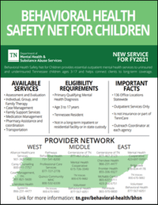 The Behavioral Health Safety Net | Volunteer Behavioral Health Care System